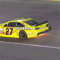 Busch GIFs - Get the best gif on GIFER