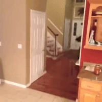 Door GIFs - Get the best gif on GIFER