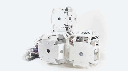 Self assembly GIFs - Get the best gif on GIFER