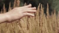 Farming GIFs - Get the best gif on GIFER