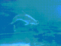Water rings GIF - Conseguir o melhor gif em GIFER