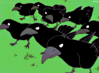 Crow GIFs - Get the best gif on GIFER
