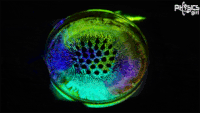 Fluids GIFs - Get the best gif on GIFER