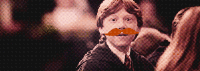 Sneaking GIFs - Get the best gif on GIFER