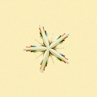 Hibiscus GIFs - Get the best gif on GIFER