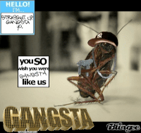Cockroach GIFs - Get the best gif on GIFER