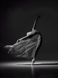 Beautiful GIFs - Get the best gif on GIFER