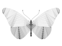 Papillon GIFs - Get the best gif on GIFER
