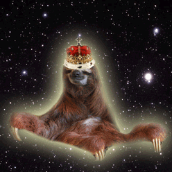 King sloth GIF - Conseguir o melhor gif em GIFER
