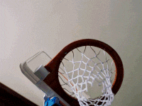 Popkey GIFs - Get the best gif on GIFER