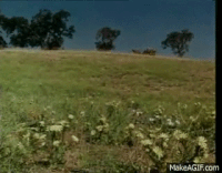 Prairie GIFs - Get the best gif on GIFER