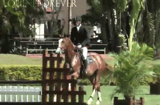 Hurdles GIFs - Get the best gif on GIFER