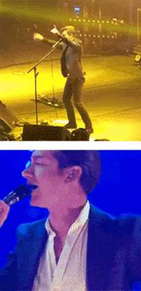 2k GIFs - Get the best gif on GIFER