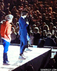 Nutshot GIFs - Get the best gif on GIFER