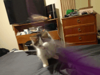 Apathy GIFs - Get the best gif on GIFER