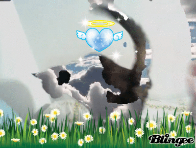 Skykitty гифки, анимированные GIF изображения skykitty - скачать гиф ...