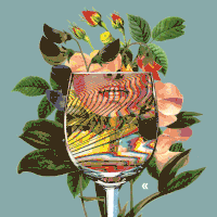 Collage GIFs - Get the best gif on GIFER