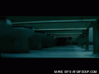 Mp GIFs - Get the best gif on GIFER