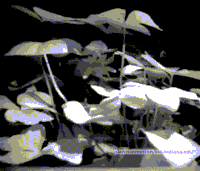 Circadian GIF - Conseguir o melhor gif em GIFER