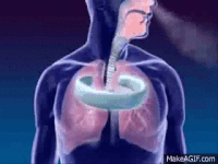 Sistema GIF - Conseguir o melhor gif em GIFER