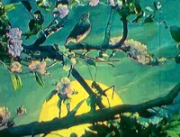 Grasshopper GIFs - Get the best gif on GIFER