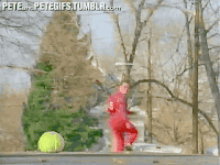 Hus GIFs - Get the best gif on GIFER