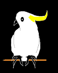 Cockatoo GIFs - Get the best gif on GIFER