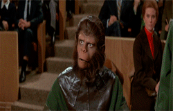 Cornelius GIFs - Get the best gif on GIFER