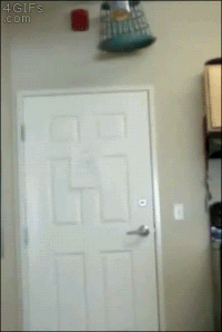Trapdoor GIFs - Get the best gif on GIFER