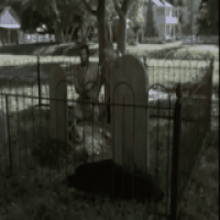 Grady GIFs - Get the best gif on GIFER