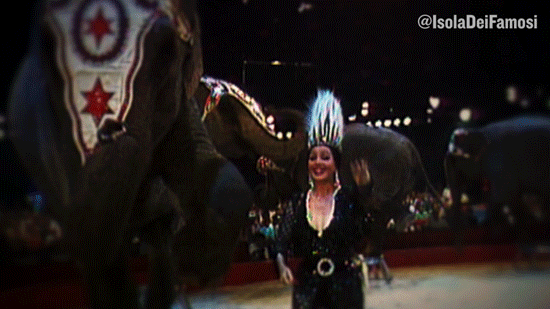 Orfei GIFs - Get the best gif on GIFER