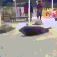 Wub GIFs - Get the best gif on GIFER