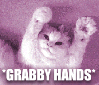 Beginner GIFs - Get the best gif on GIFER
