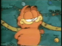 Garfield GIFs - Get the best gif on GIFER