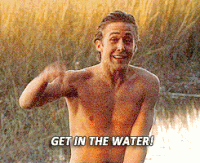 Pdx GIFs - Get the best gif on GIFER