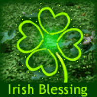Irish GIFs - Get the best gif on GIFER
