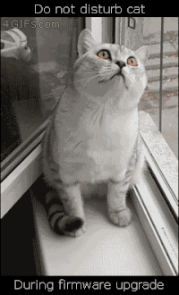 Normal GIFs - Get the best gif on GIFER