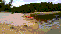 Kayak GIFs - Get the best gif on GIFER