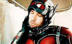 Ant man GIFs - Get the best gif on GIFER