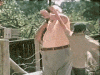 Open knowledge GIFs - Get the best gif on GIFER