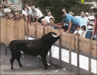 Rgif GIFs - Get the best gif on GIFER