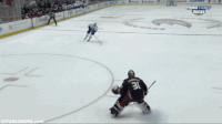 Canuck GIFs - Get the best gif on GIFER