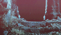 Nazgul GIFs - Get the best gif on GIFER