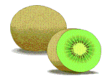Kiwi GIFs - Get the best gif on GIFER