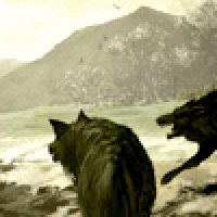Asoiaf GIFs - Get the best gif on GIFER