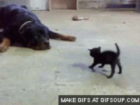 Good save GIFs - Get the best gif on GIFER