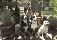 Huddled GIFs - Get the best gif on GIFER