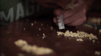 Snorting GIFs - Get the best gif on GIFER