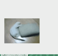 Pillow GIFs - Get the best gif on GIFER