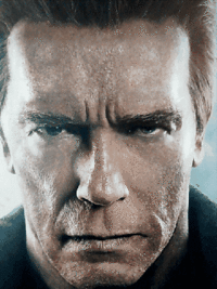 T GIFs - Get the best gif on GIFER